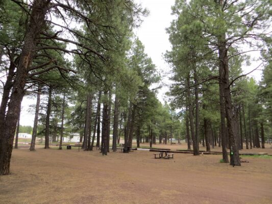 Fort Tuthill County Campground - Go Camp Arizona