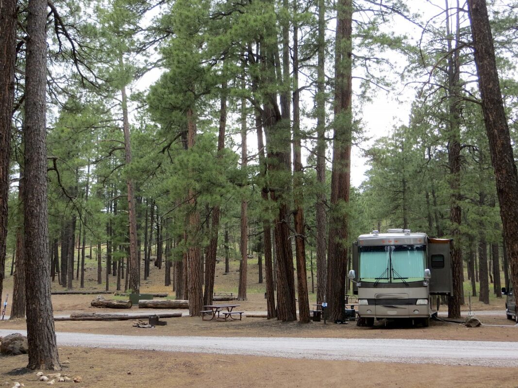 Fort Tuthill County Campground - Go Camp Arizona